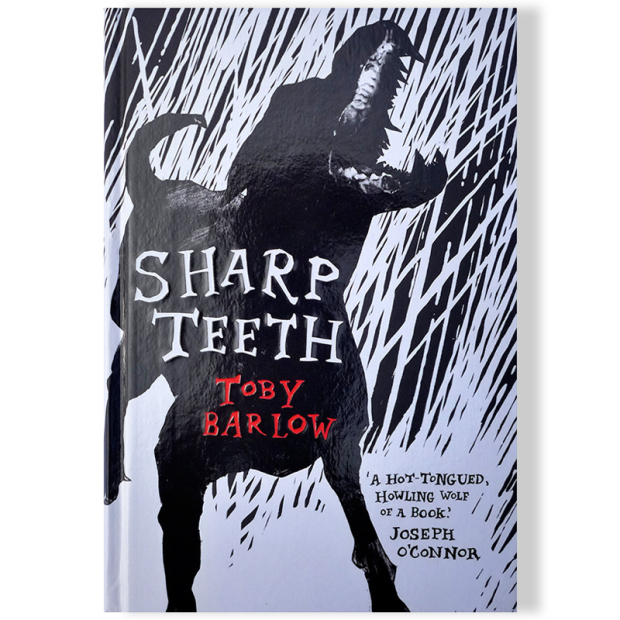 Portfolio | Suzanne Dean