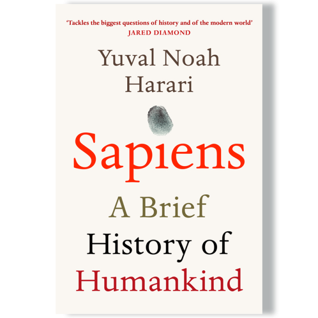 Portfolio | Suzanne Dean