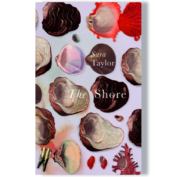 Portfolio | Suzanne Dean